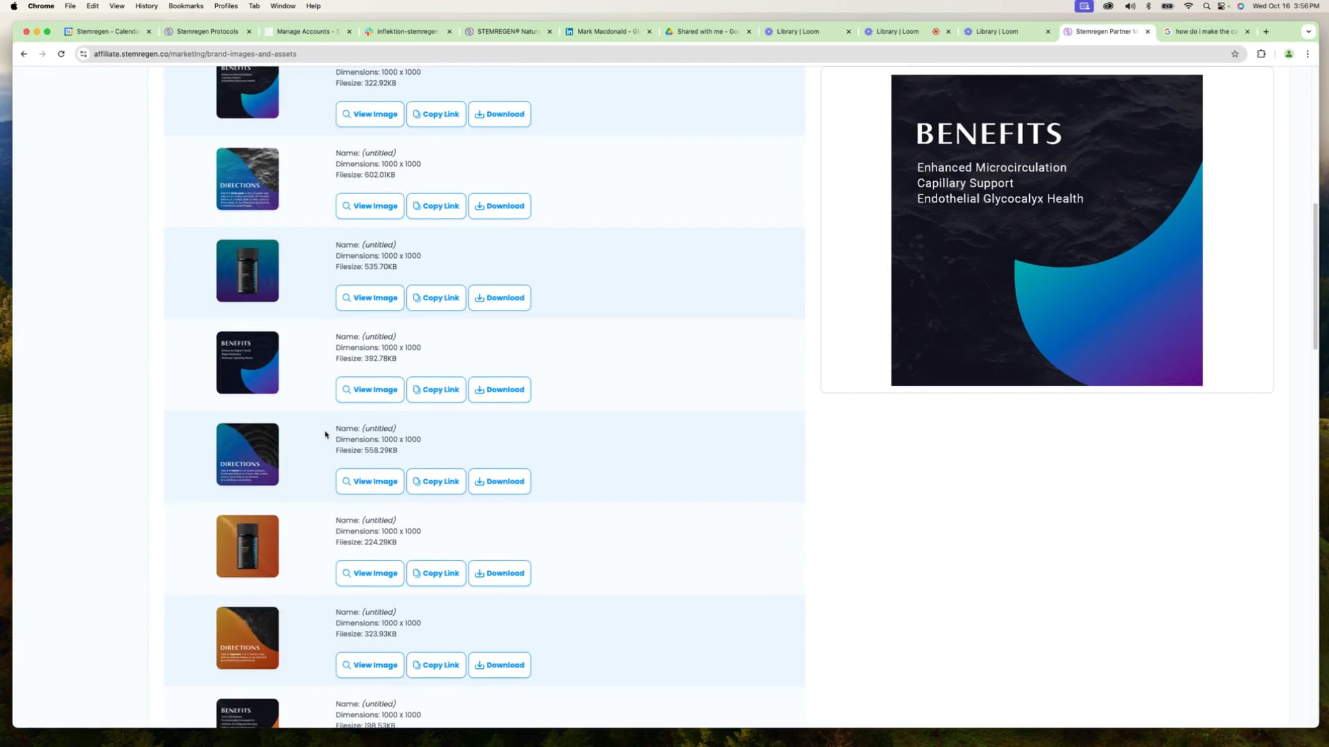 Affiliate Dashboard – Stemregen