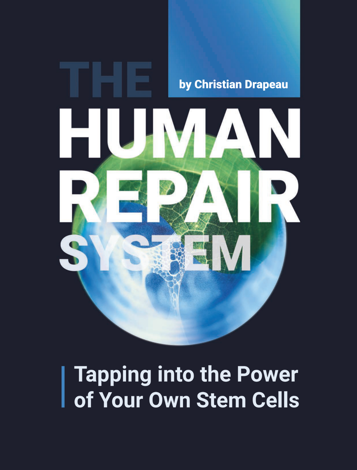 The Human Repair System – Stemregen