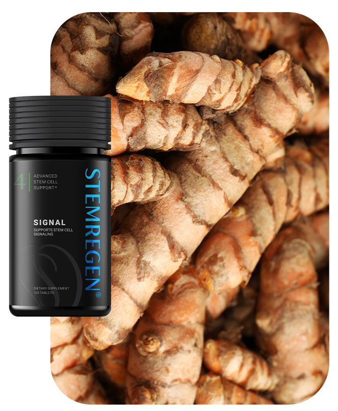 STEMREGEN® Stem Cell Supplement - Signal – Stemregen