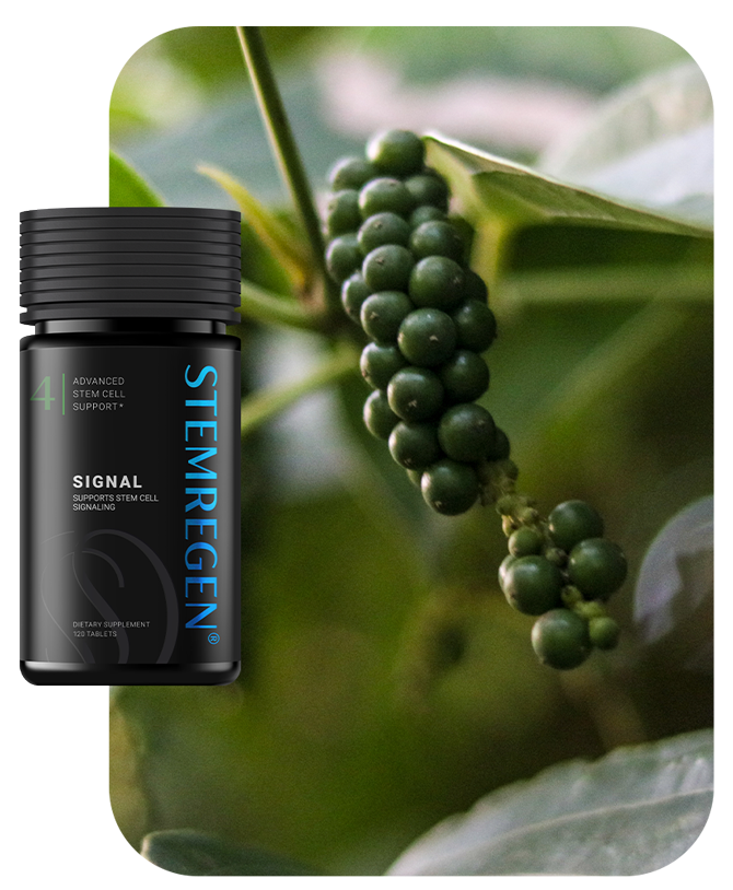 STEMREGEN® Stem Cell Supplement - Signal – Stemregen