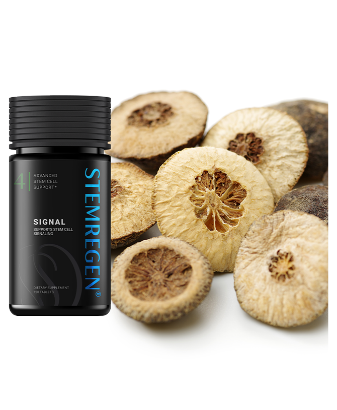 STEMREGEN® Stem Cell Supplement - Signal – Stemregen