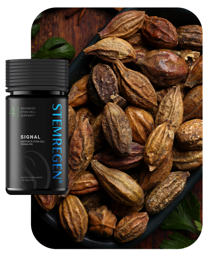STEMREGEN® Stem Cell Supplement - Signal – Stemregen
