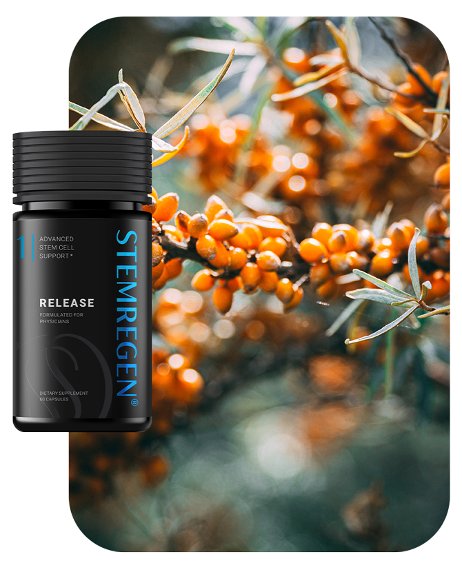 STEMREGEN Daily Maintenance Protocol – Stemregen