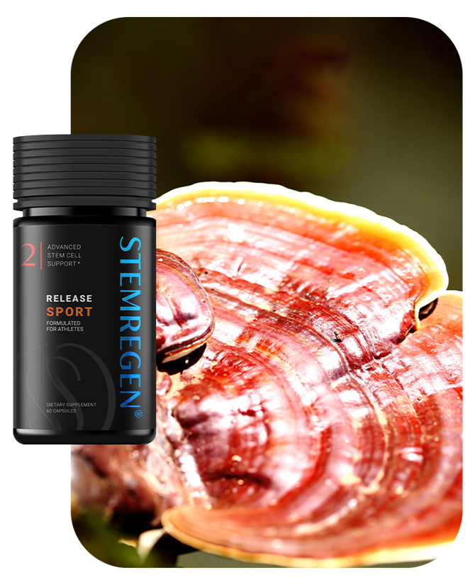 STEMREGEN® Stem Cell Supplement - Sport – Stemregen