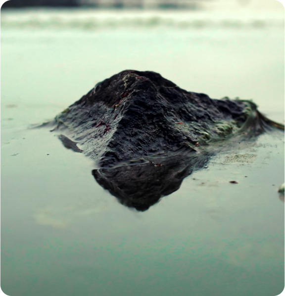 Ingredients - Stemregen