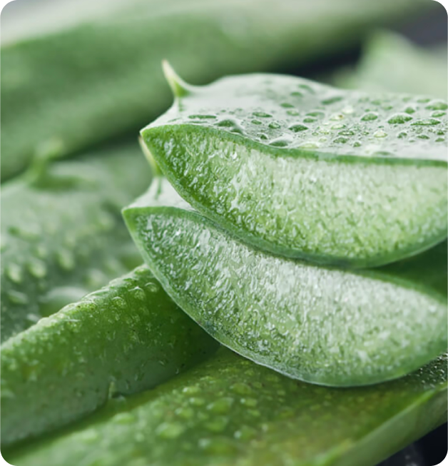 Ingredients - Stemregen